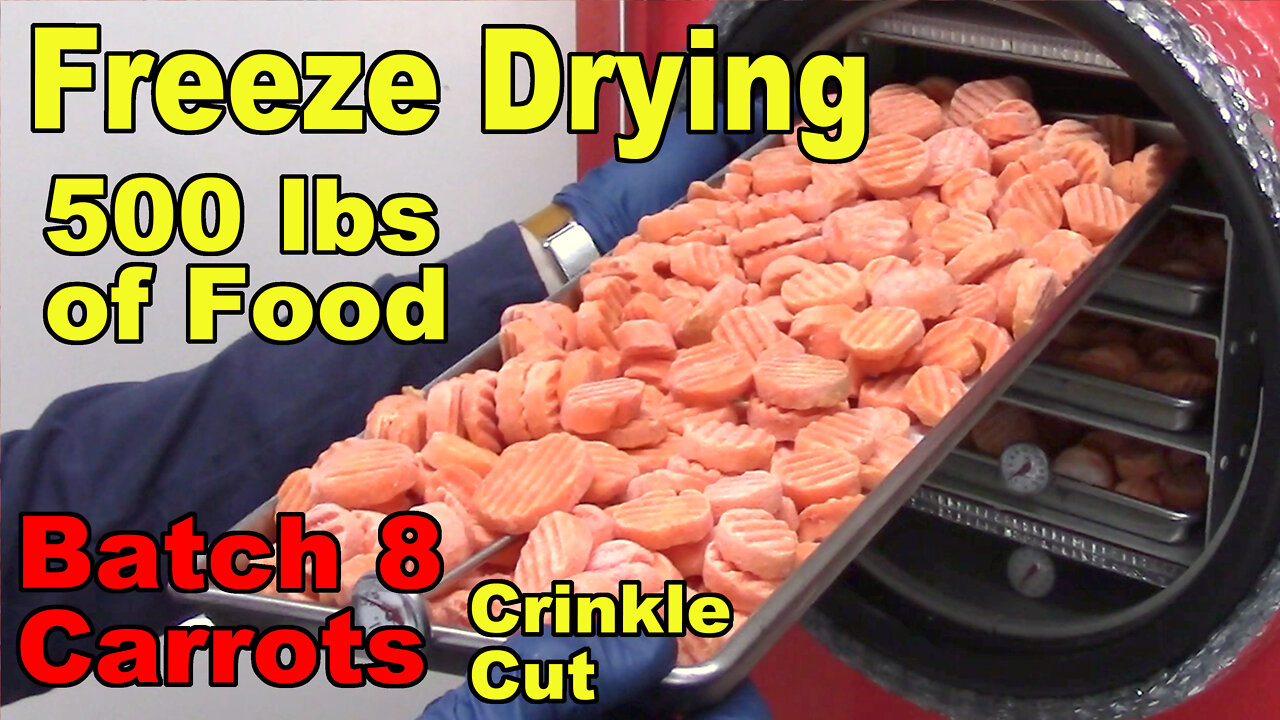 Freeze Drying Your First 500 lbs of Food - Batch 8 - Carrots, Crinkle ...