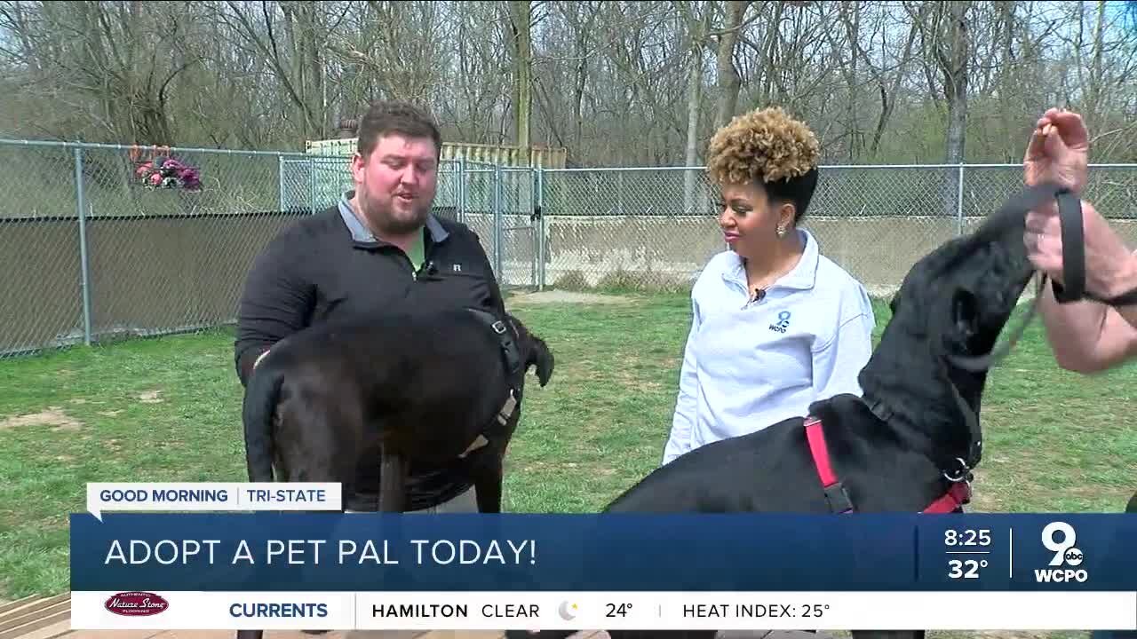 Pet Pals: Meet Tasha & Rowan