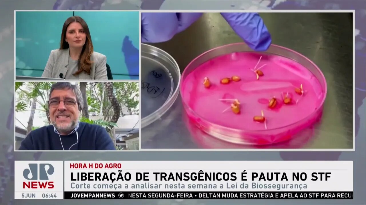 Kellen Severo: Liberação de transgênicos é pauta no Supremo; cientista ...