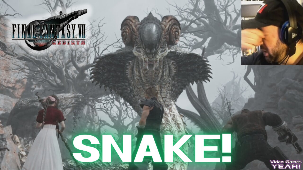 I've HAD IT with this MFn Snake! | Final Fantasy VII Rebirth 1st ...