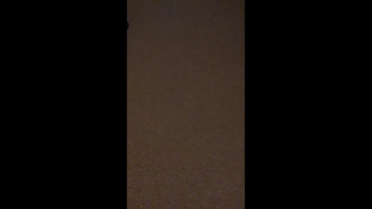 Iconic victory dance