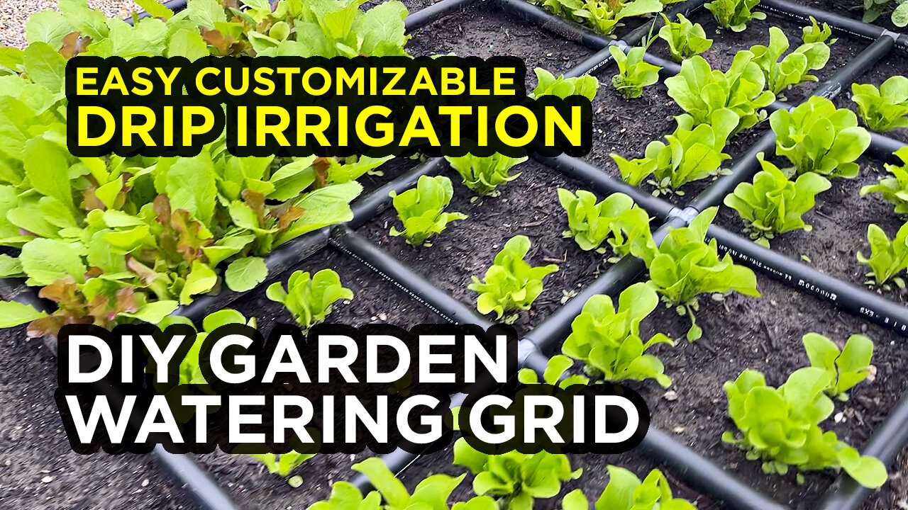 Build Your Own Drip Irrigation System in 3 Easy Steps - DIY Watering ...