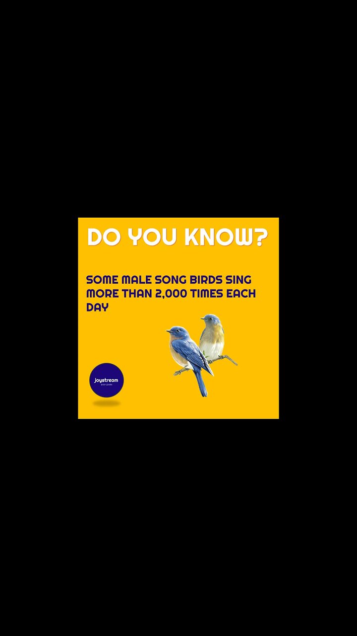 #44 Joyful Facts about birds and animals | Do you know? | Joy Stream