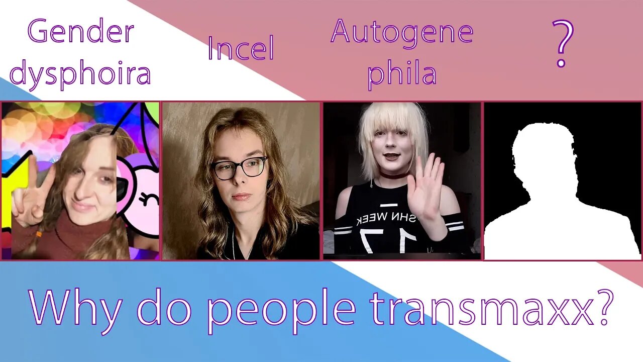 The 4 different types of transmaxxer