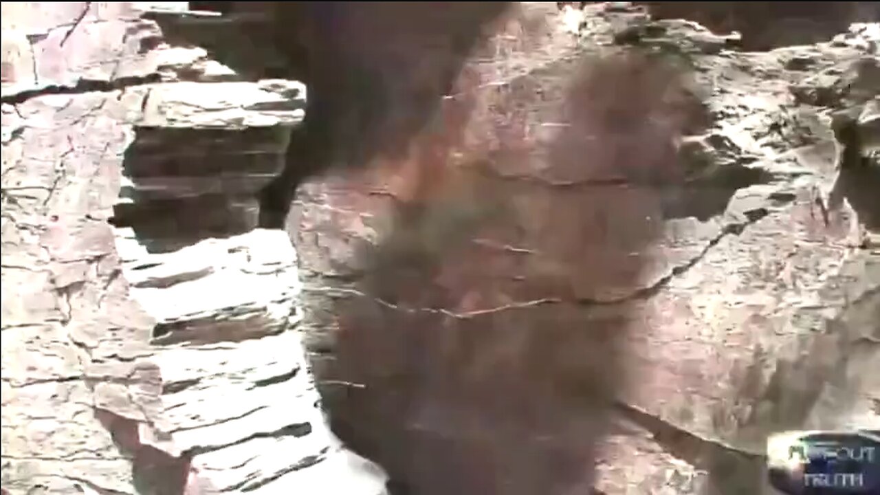 Evidence of Forests Full of Giant Trees Before The Mud Flood ...
