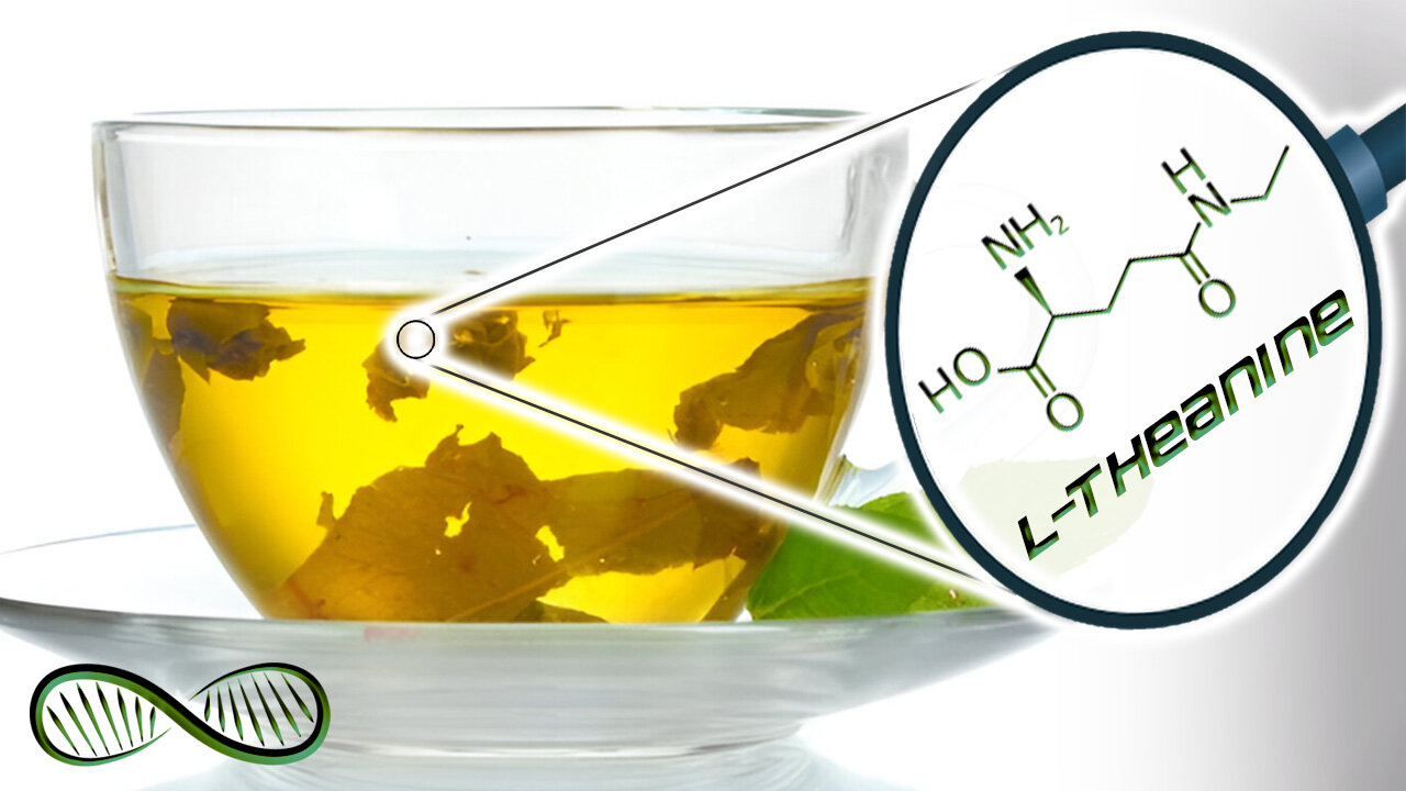 L-Theanine 🍵 The Nootropic ingredient of green tea that delivers ...