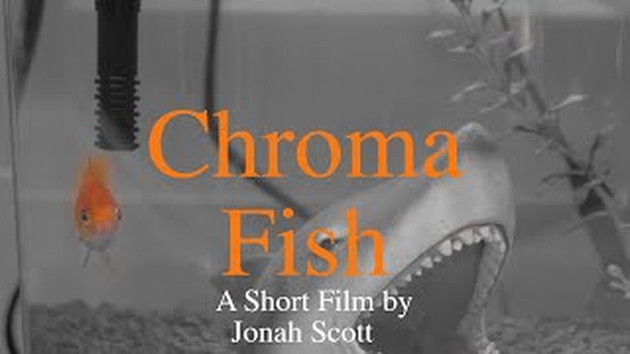 Chroma Fish