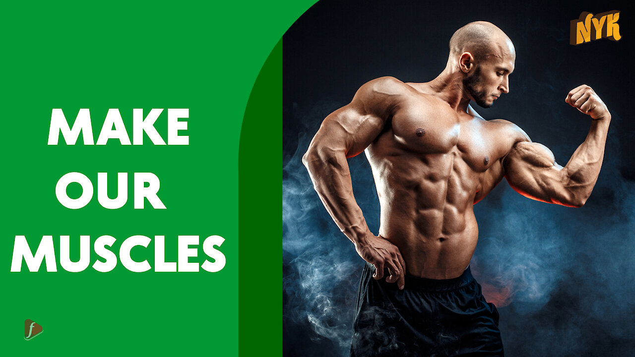 How Does The Muscle Grow