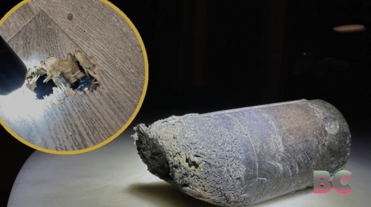 Nasa confirms metal chunk that crashed into Florida home was space junk