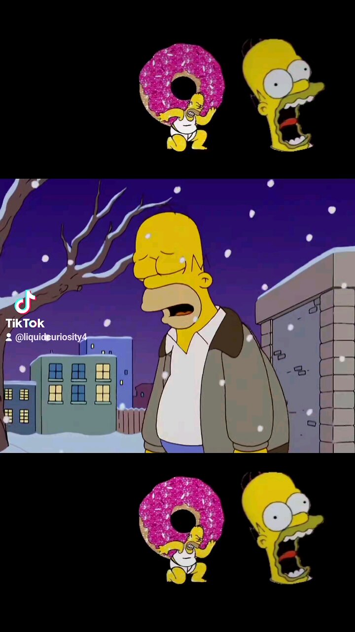 Homer Simpsons life in 14 seconds!?