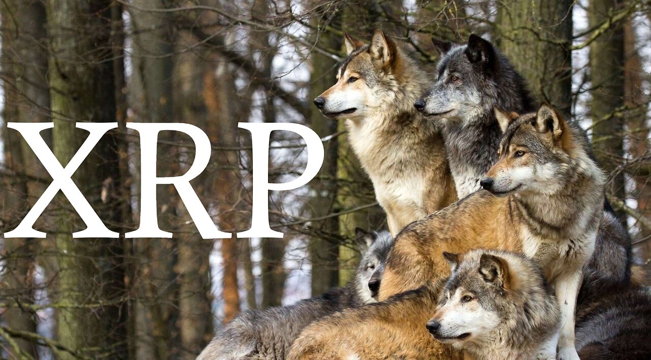 THE SECRET XRP TIMELINE