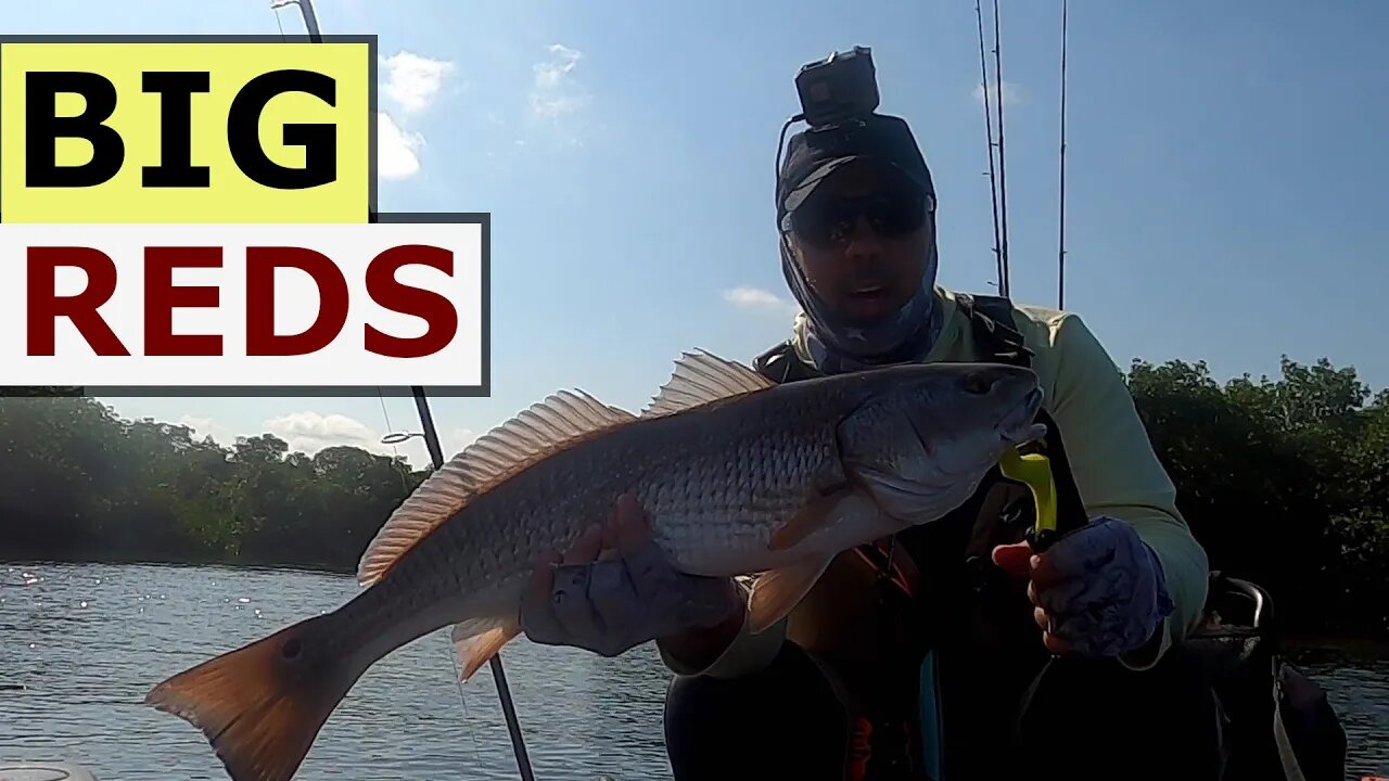 NON-STOP Redfish and Trout Action At My FAVORITE Spot! @The Wade ...