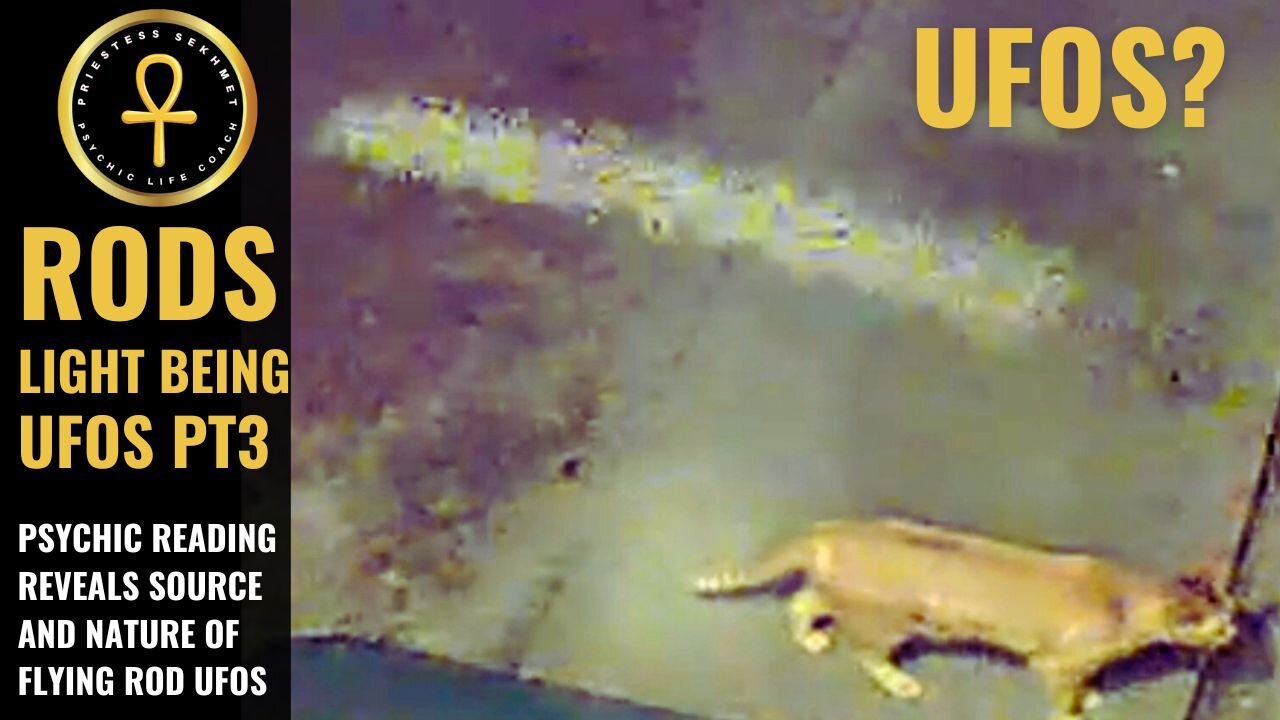PT3 LIGHT BEINGS AND FLYING ROD UFOS