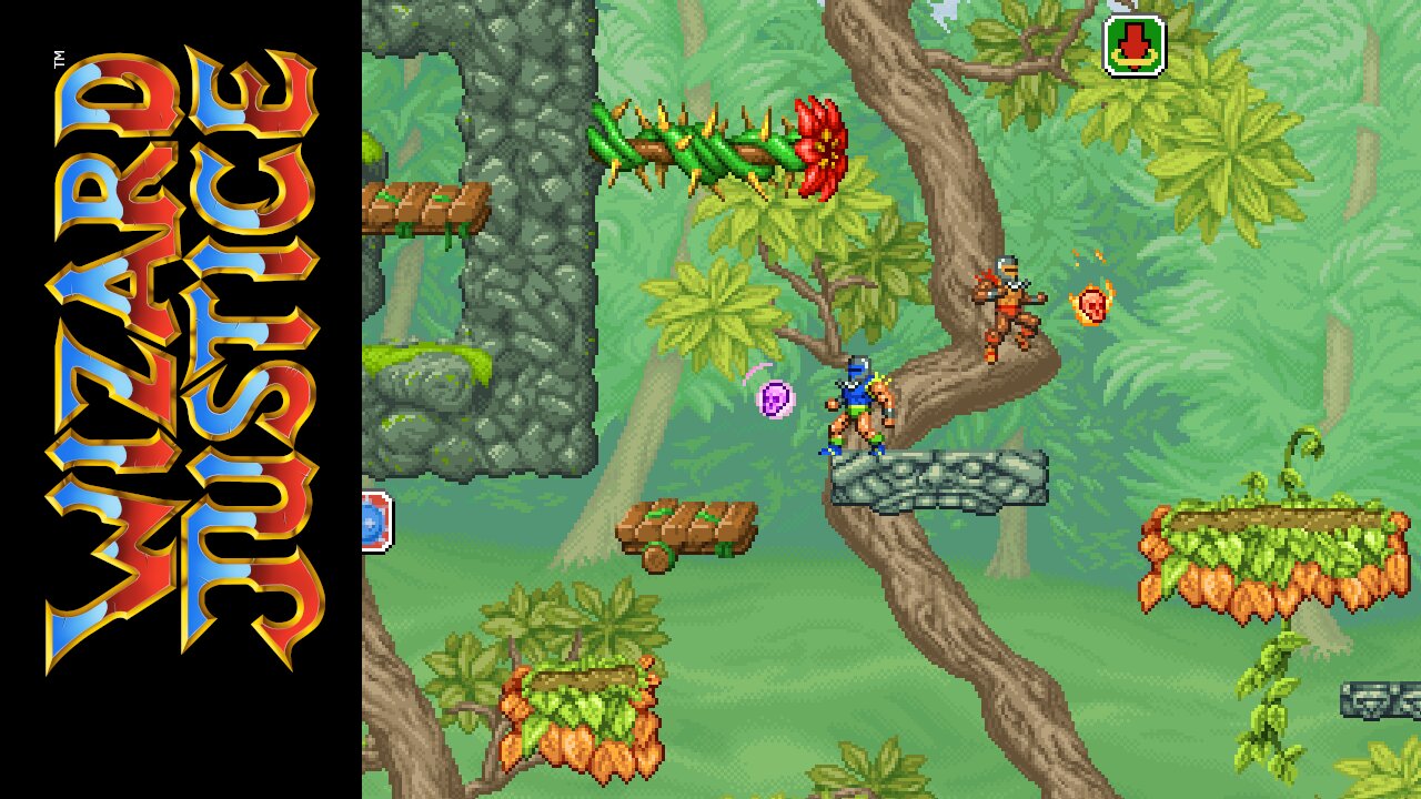 Wizard Justice - Flower enemy and reticles