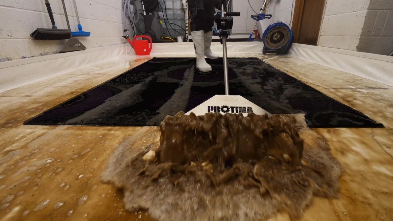 The Incredible Cleaning Transformation of This Purple Glitter Rug ...