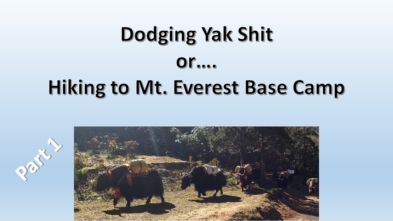 Dodging Yak Shit.... or Trekking to Mt Everest Base Camp (Check out the ...