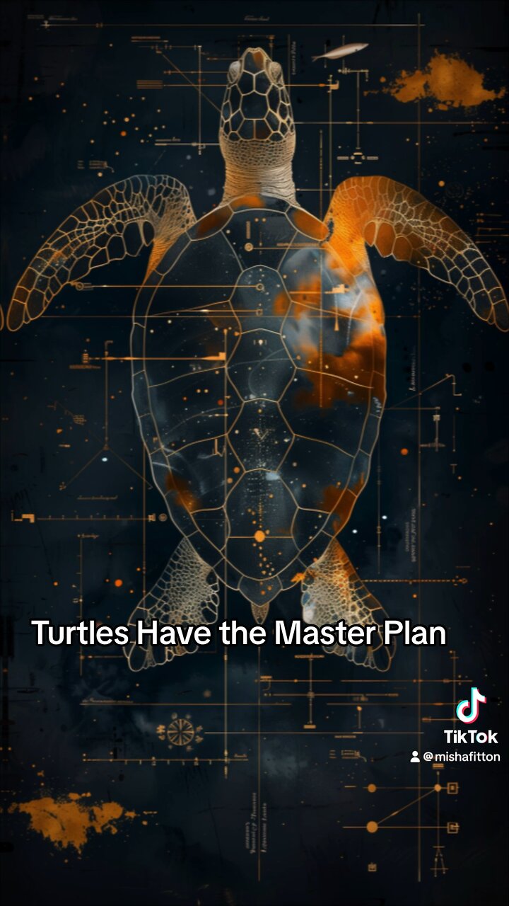 Master Plan Turtle