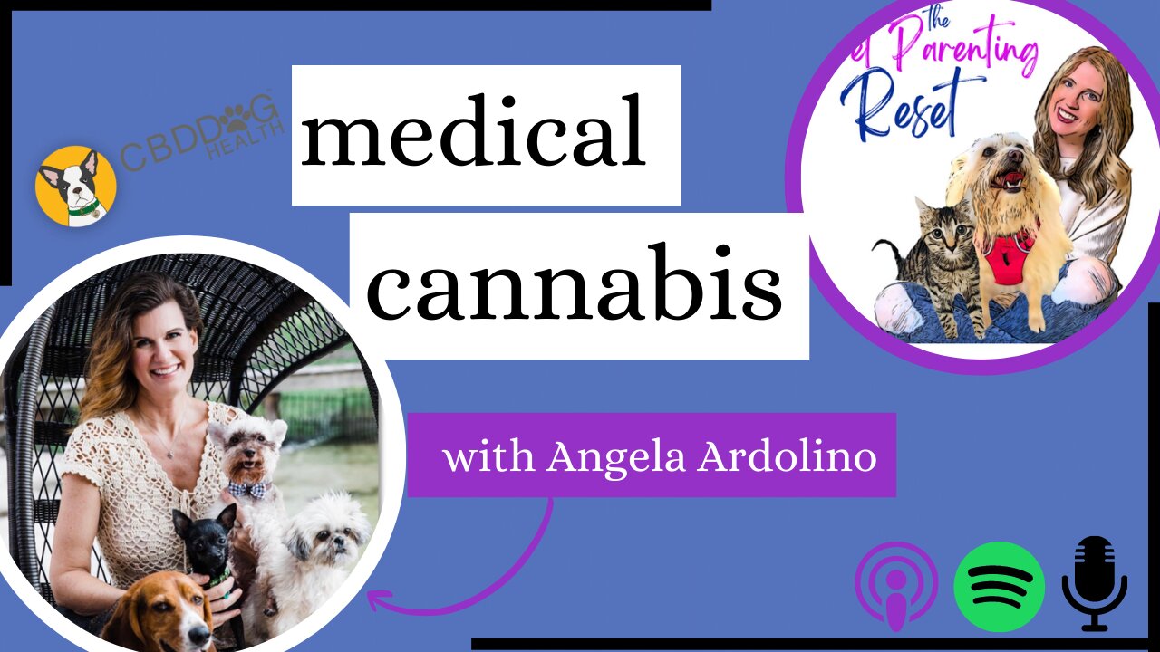 How To Help Your Dog When They're Sick (and When They're NOT!) with ...