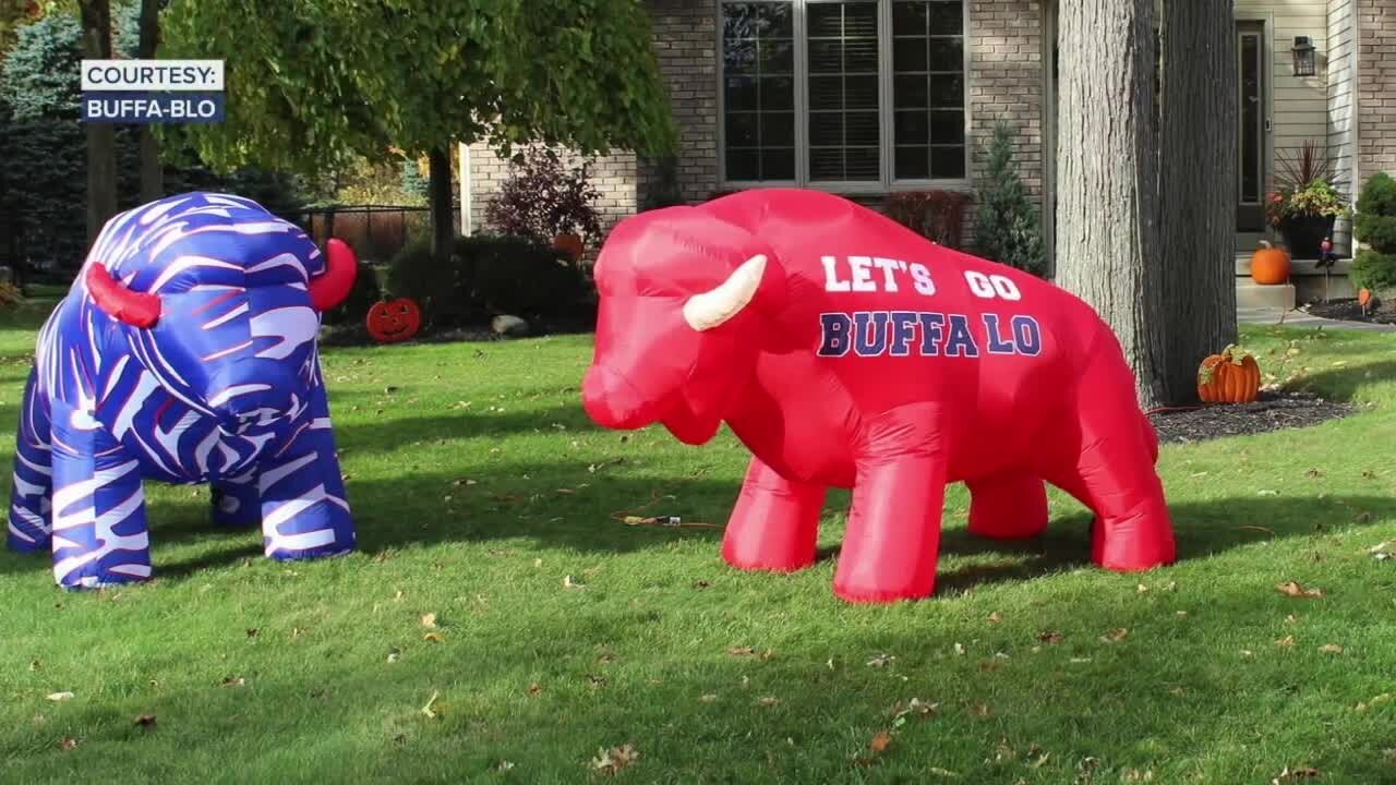 Buffalove for your lawn! Check out these new blow-up buffaloes