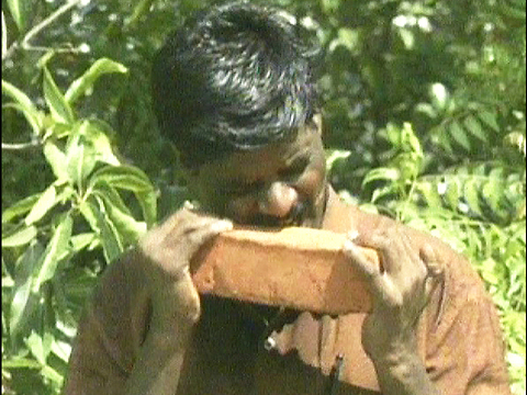 Guy Eats Bricks