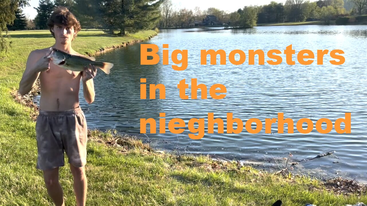 Monster bass and where to find them.