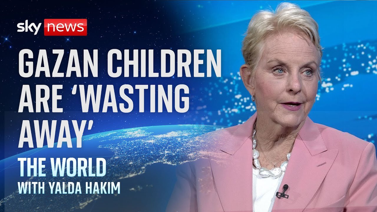 Situation in Gaza is 'catastrophic', UN food boss warns _ Israel-Hamas ...