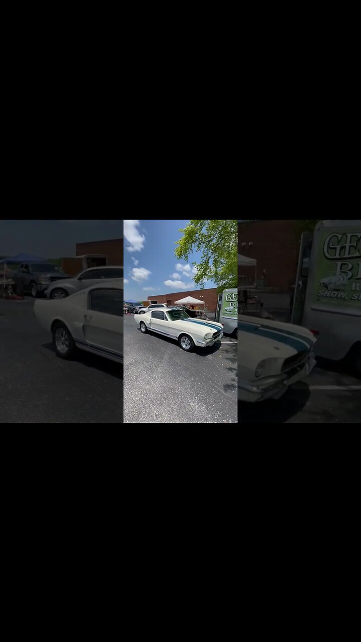 1965 Mustang GT350 & Grumman P10 Stepvan