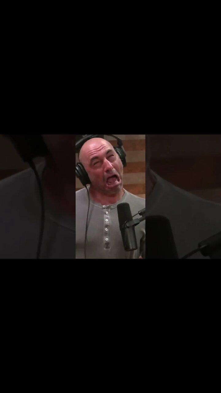 Joe Rogan funny edited expressions
