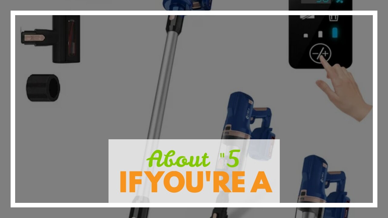 About "5 Reasons Why the Dyson Animal Filter is a Game Changer for Pet ...
