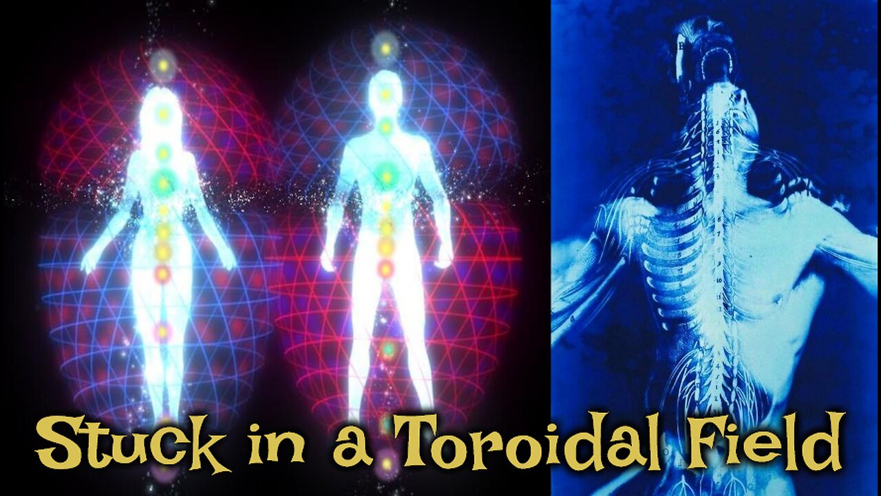 The Toroidal Field And The Apple: Earth Is Stuck In Creating Dense ...