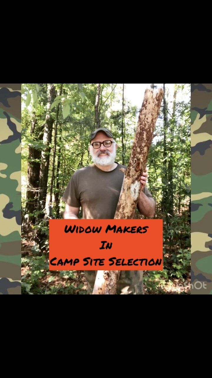 Beware of Widow Makers During Campsite Selection