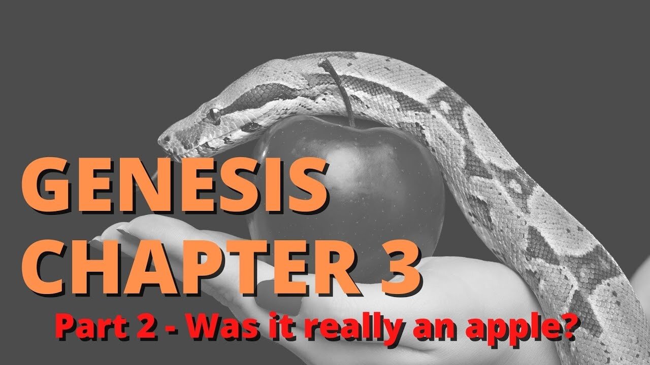 What Happened When Adam And Eve Sinned? Part 2 What Happened When Adam And Eve Sinned? Part 2