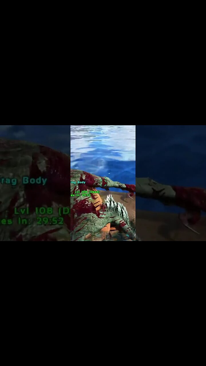 👀 Midair Raptor Pounce!🤣 - (Archepelian Map) ARK Survival Evolved #shorts