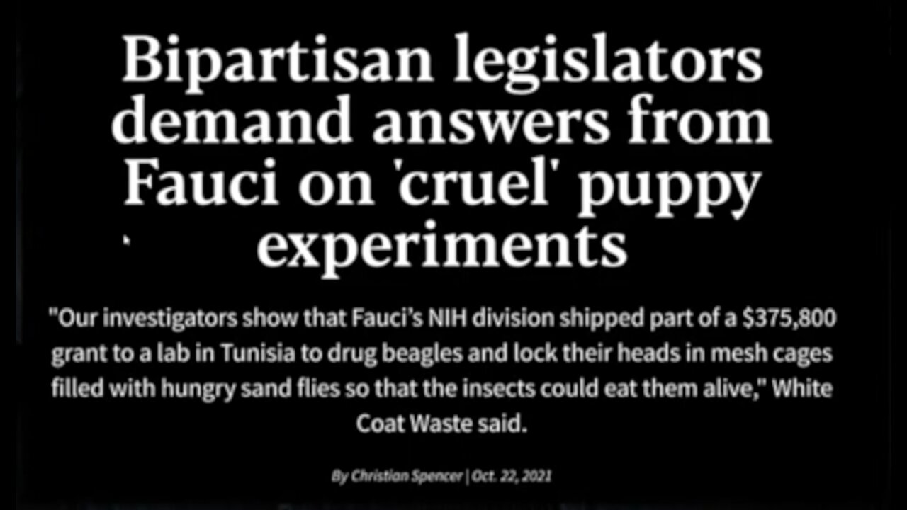 The Fauci Beagle Experiment Revelations