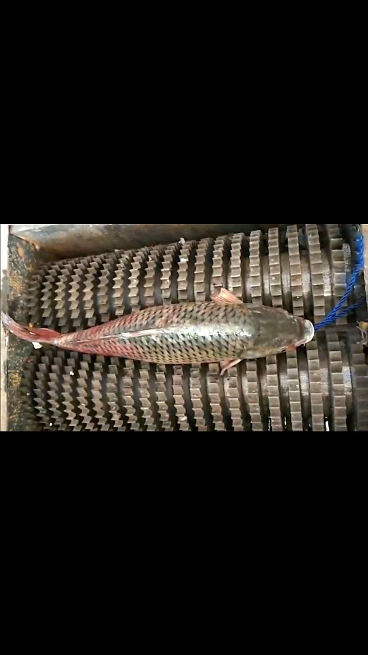 Amazing Production Process with Modern Machines