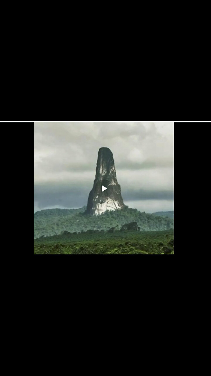 A Story of Giant Trees, Giant creatures and much more - TARTARIA WAS ...