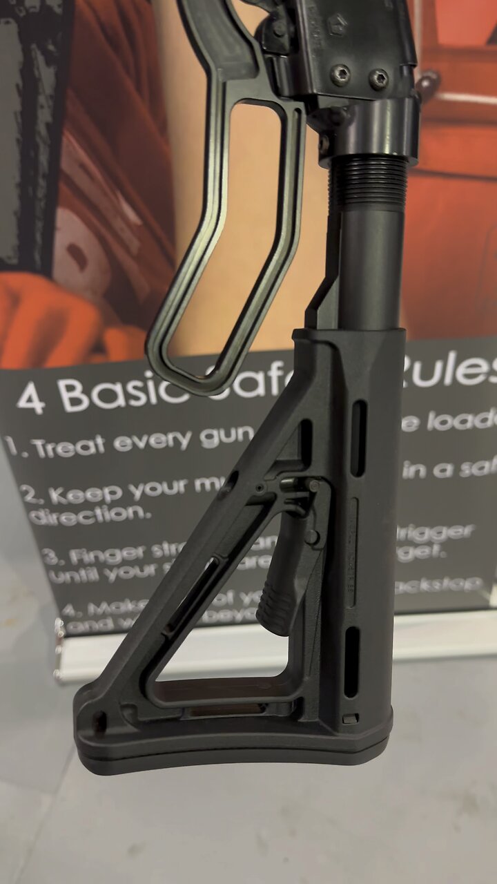 Custom Daisy Red Ryder