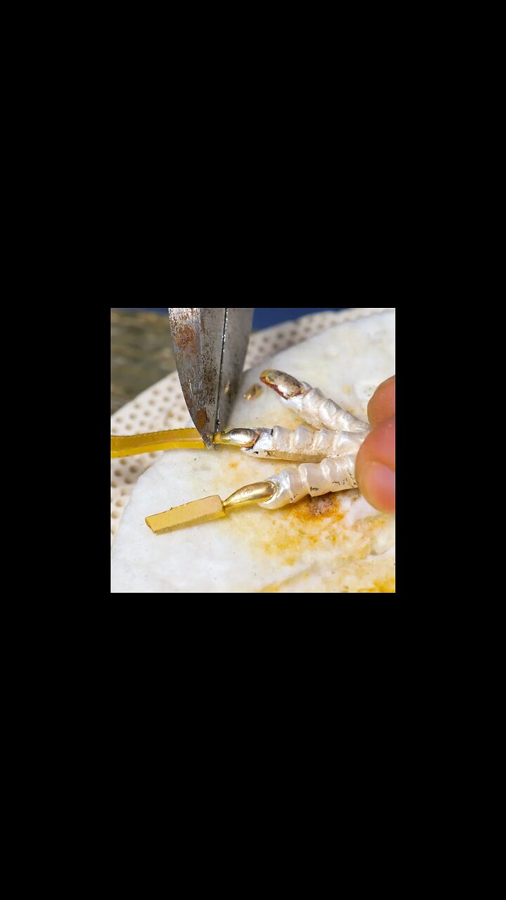 Watch this craftsman make a ring with a dragon's paw! 💍