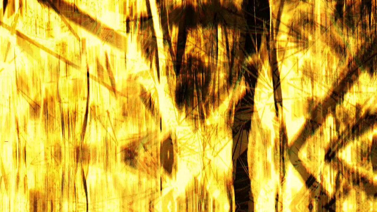 Jovan Hutton Pulitzer 's Quick Clips of Arizona Forensic 2020 Audit ...