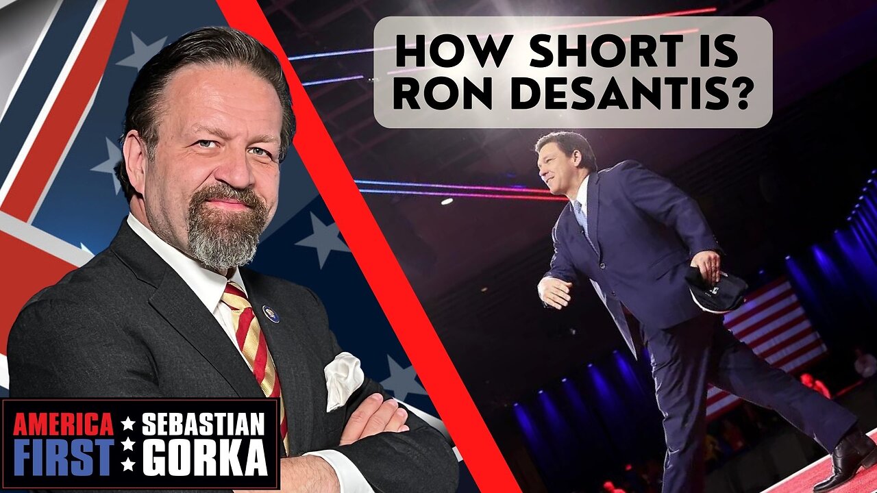 How short is Ron DeSantis? Jennifer Horn with Sebastian Gorka on ...