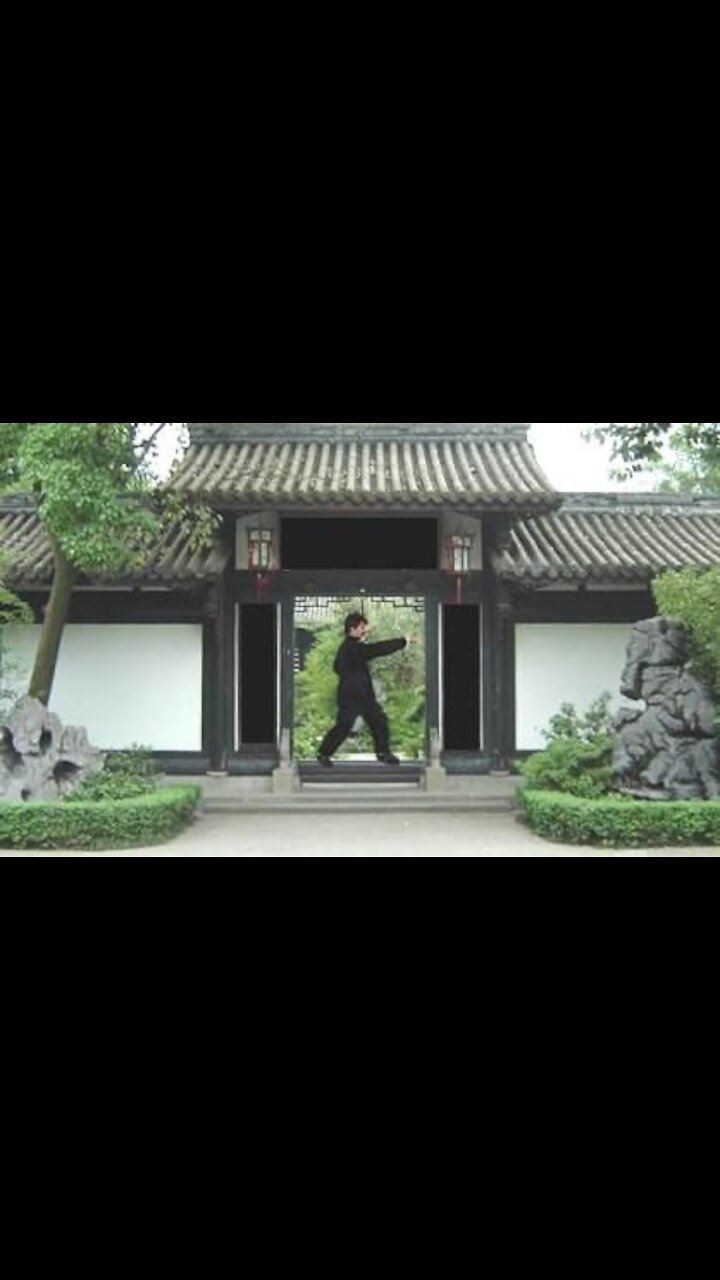 Tai-Chi Roy Jones Jr. Vs Mike Tyson