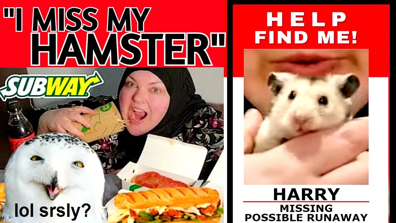 Foodie Beauty, Where is Harry the Hamster?!! Deleted Mukbang | Are You ...