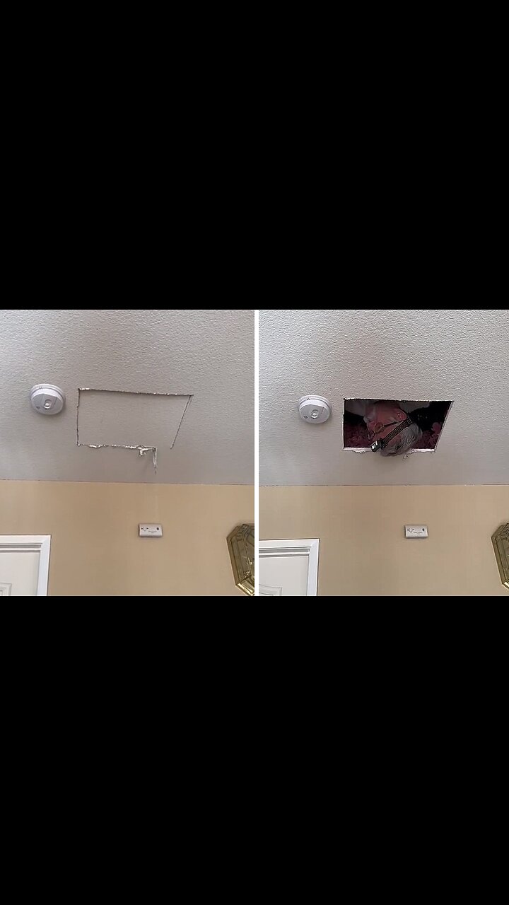 When your dad takes 'watchful eye' to the next level