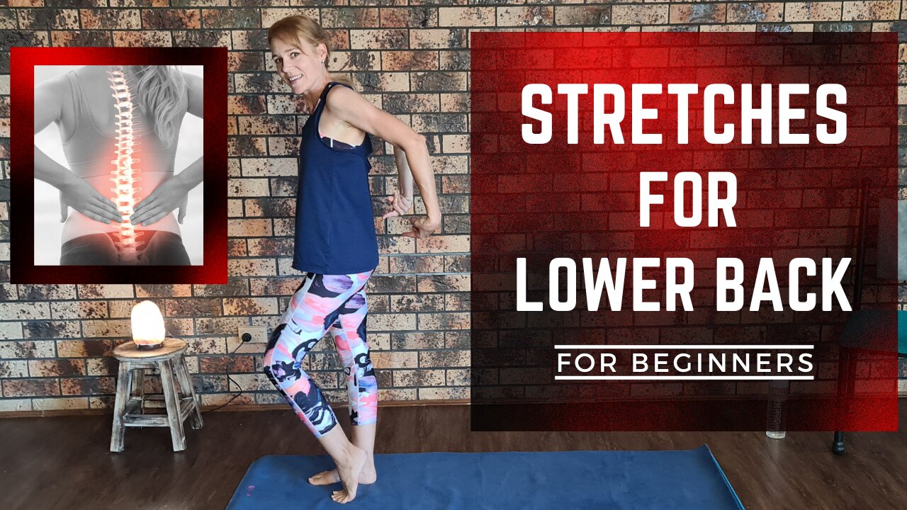 EASY Lower Back Stretches for BEGINNERS