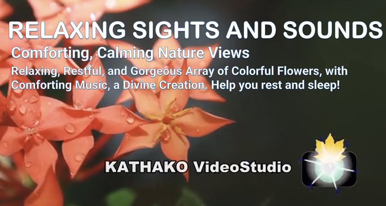 Relaxing, Restful, and Gorgeous Array of Colorful Flowers, with ...