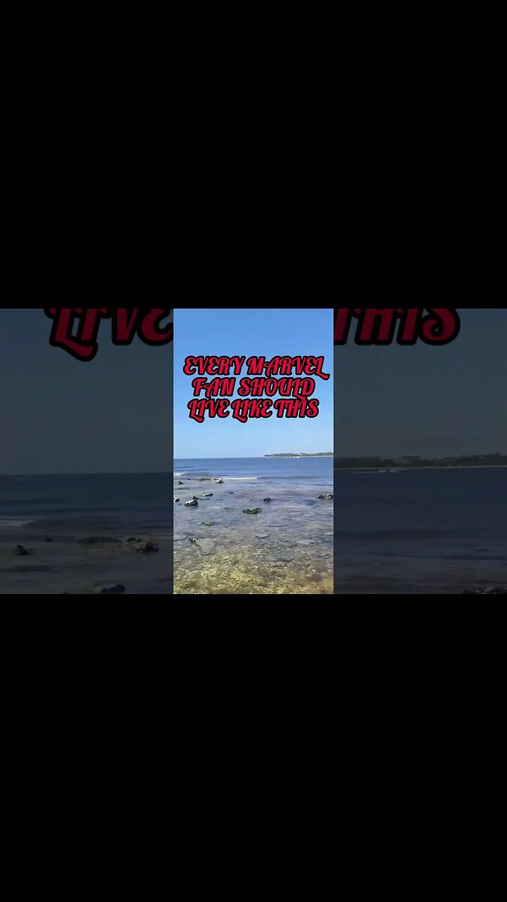 Every Marvel Fan Should Live Like This :)