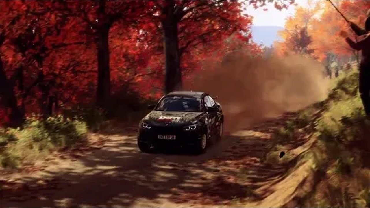 DiRT Rally 2 - Replay - BMW M2 Competition at Hancock Creek Burst