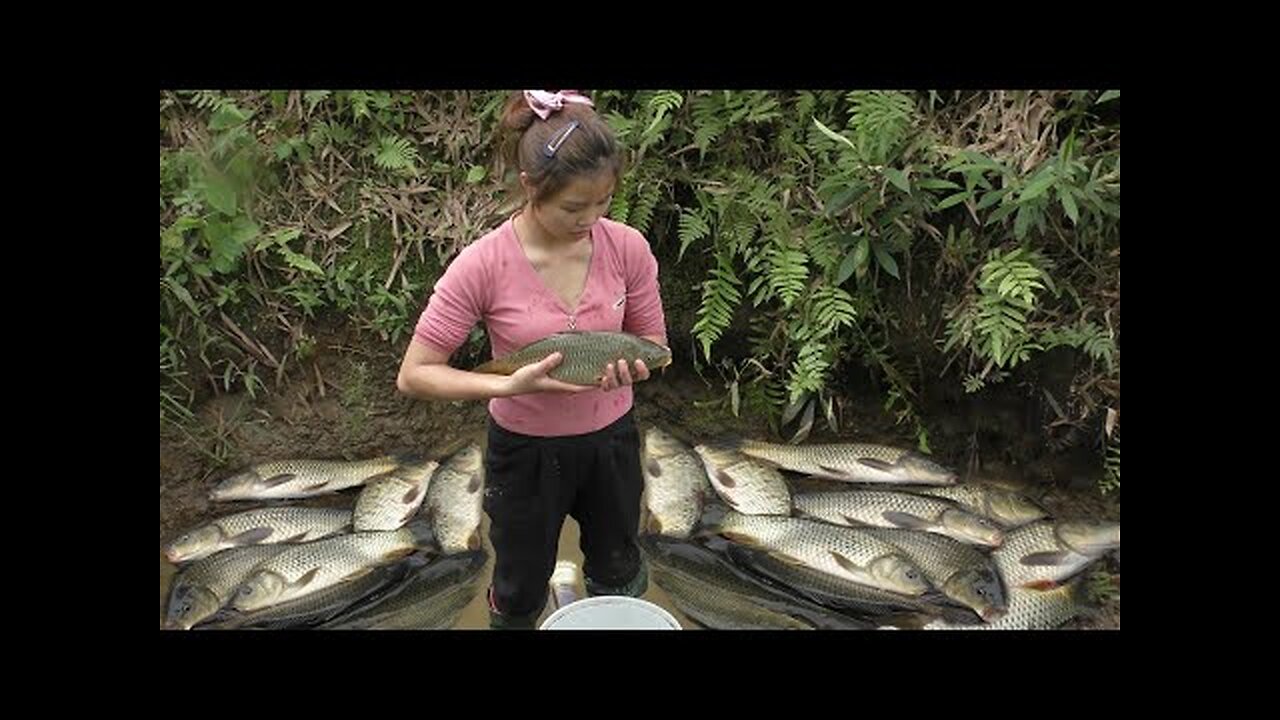 Catching wild fish | Use a water pump to catch fish in a wild lake ...