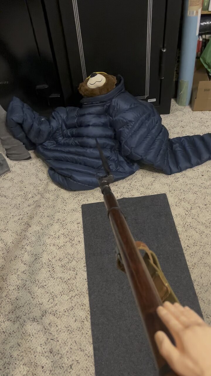 Thursday Toys with SPH. Mosin Nagant bayonet vs stuffed wolverine.