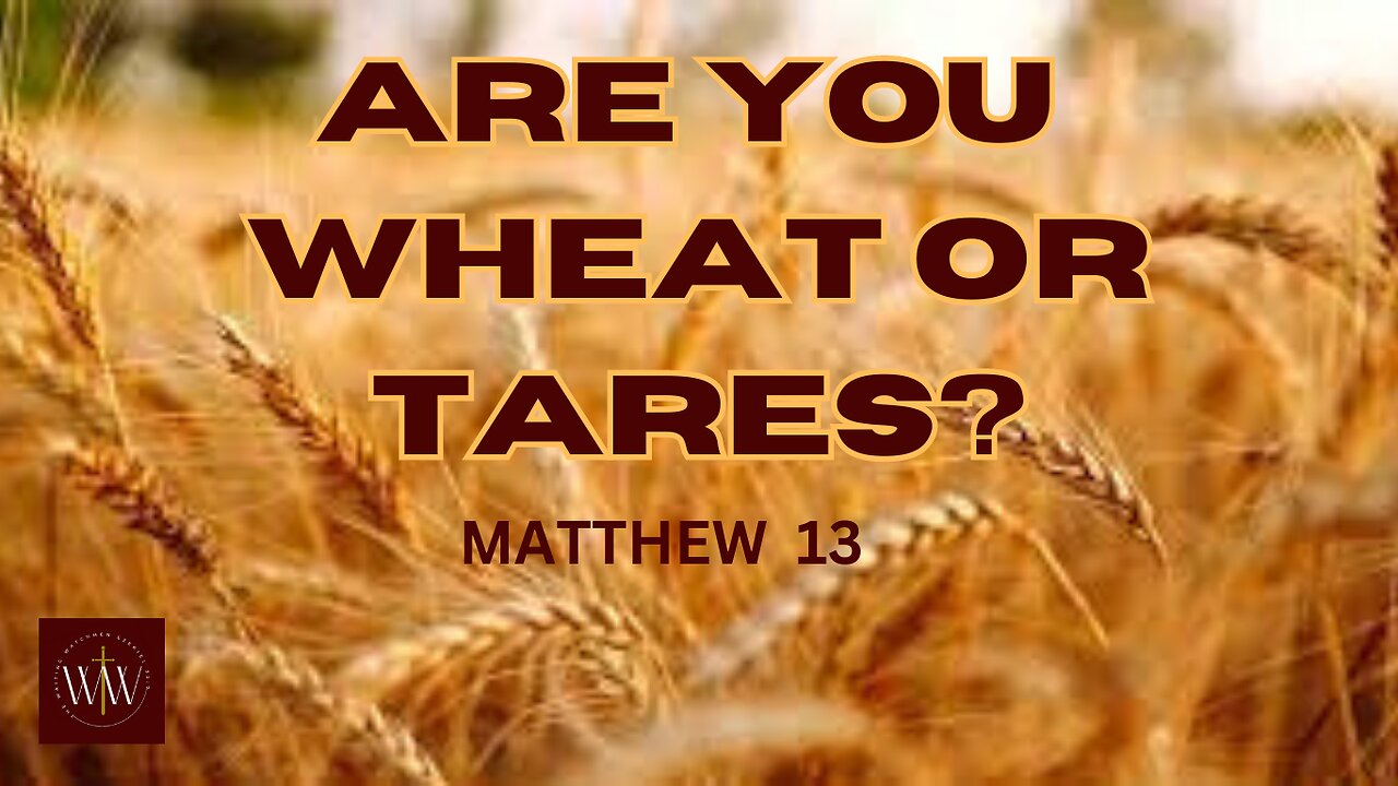 Identifying the Wheat Amongst the Tares!! Explaining the parable of the ...